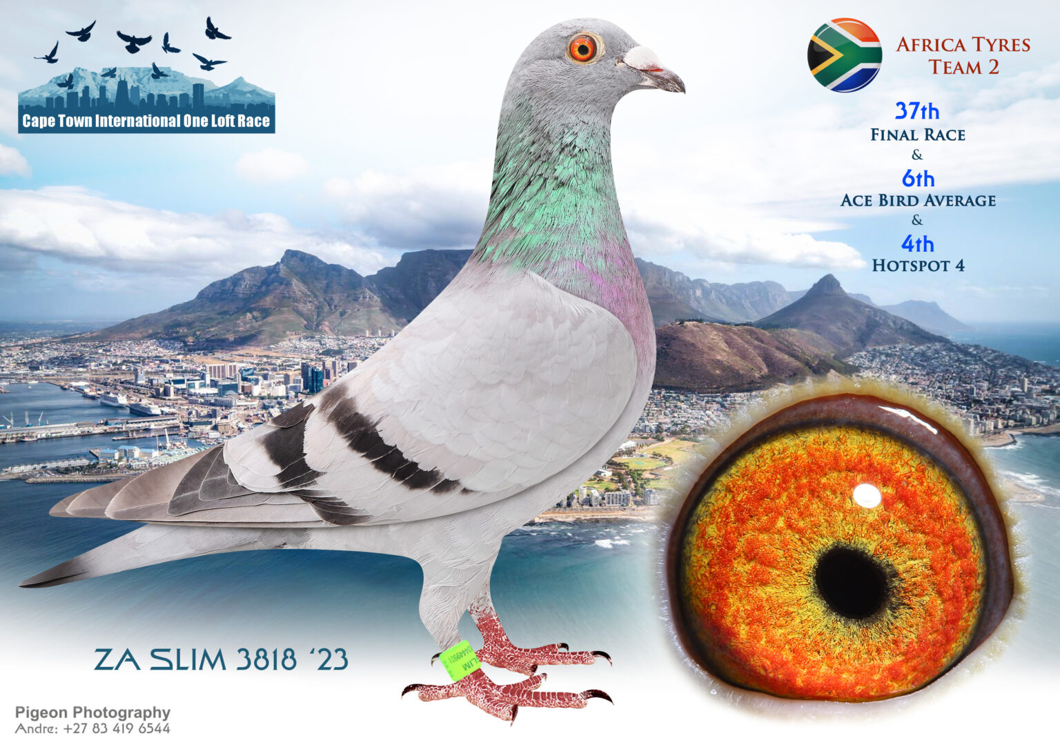 LOT 37 CAPETOWN INTERNATIONAL OLR AUCTION 2-ZA 23 SLIM 3818 – PIETER ...