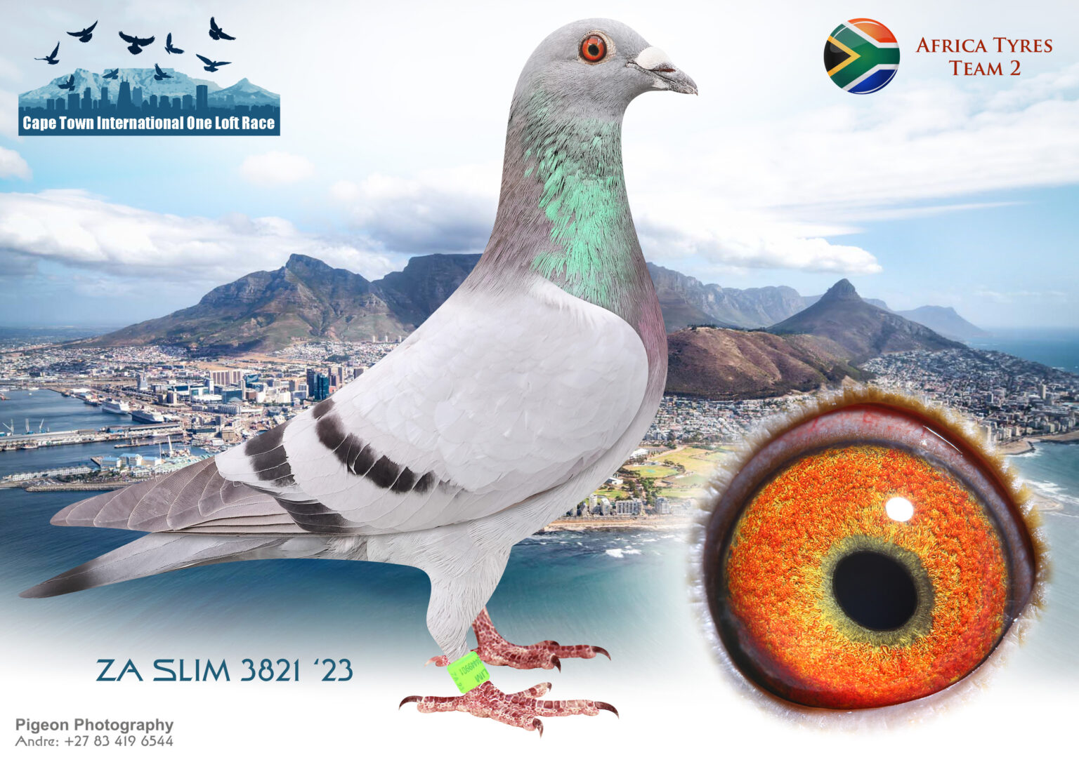 z..LOT 106 CAPETOWN INTERNATIONAL OLR AUCTION 2 -ZA 23 SLIM 3821 ...