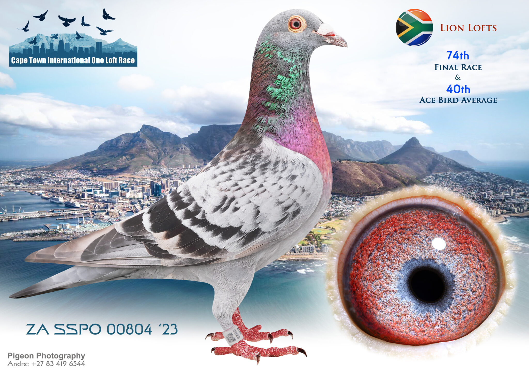 LOT 74 CAPETOWN INTERNATIONAL OLR AUCTION 2 -ZA 23 SSPO 00804 – LION LOFTS – SIRE:6270 ZA KUR 22 ...