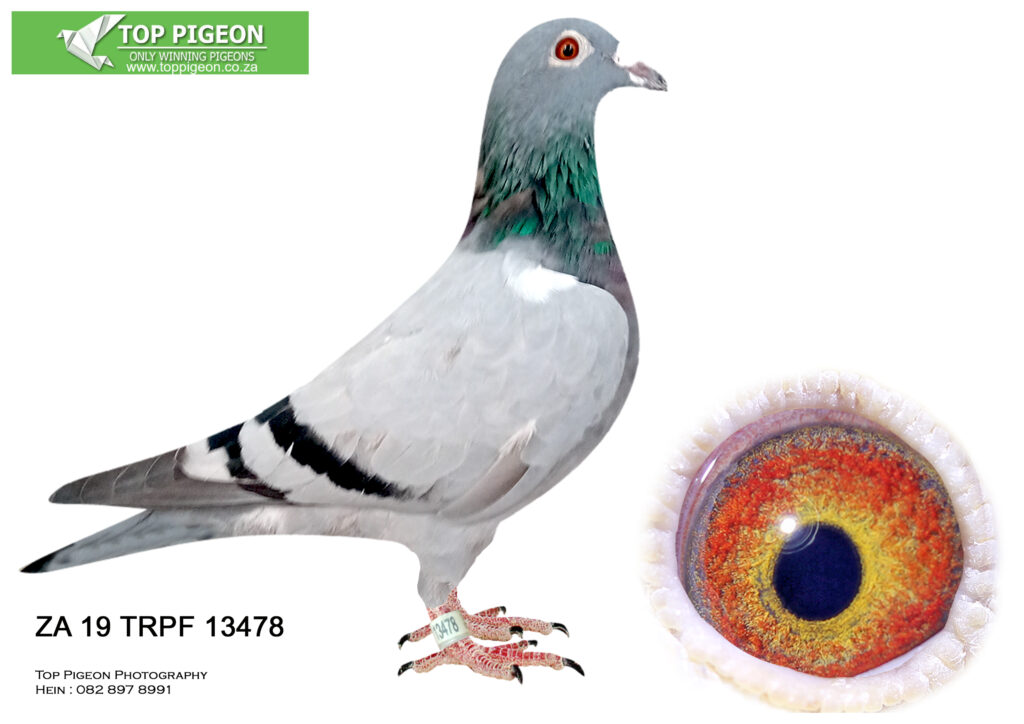 ACTIVE AUCTION – TOP LOCAL AND INTERNATIONAL AUCTION – FROM 02 APRIL TO ...