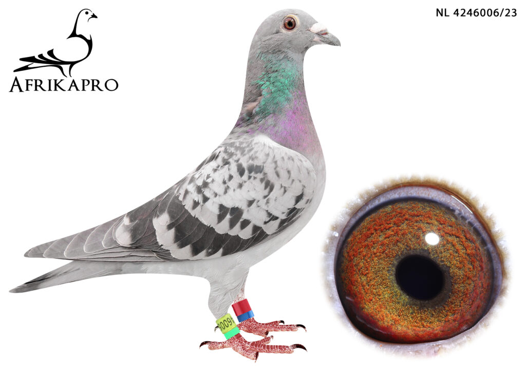 ACTIVE AUCTION – TOP LOCAL AND INTERNATIONAL AUCTION – FROM 02 APRIL TO ...