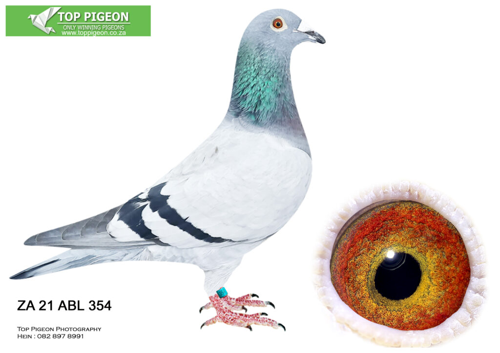 ACTIVE AUCTION – TOP LOCAL AND INTERNATIONAL AUCTION – FROM 02 APRIL TO ...