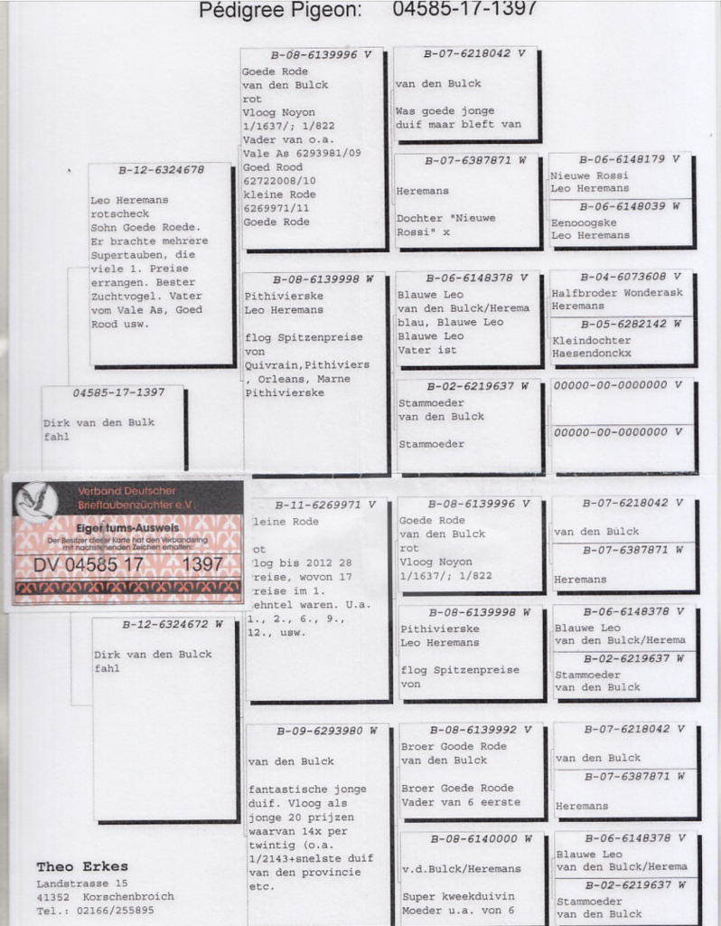 .LOT 1 MIKE ENGELBRECHT ZA 23 BORD 4815 —-Brother/sister mating. Sires ...