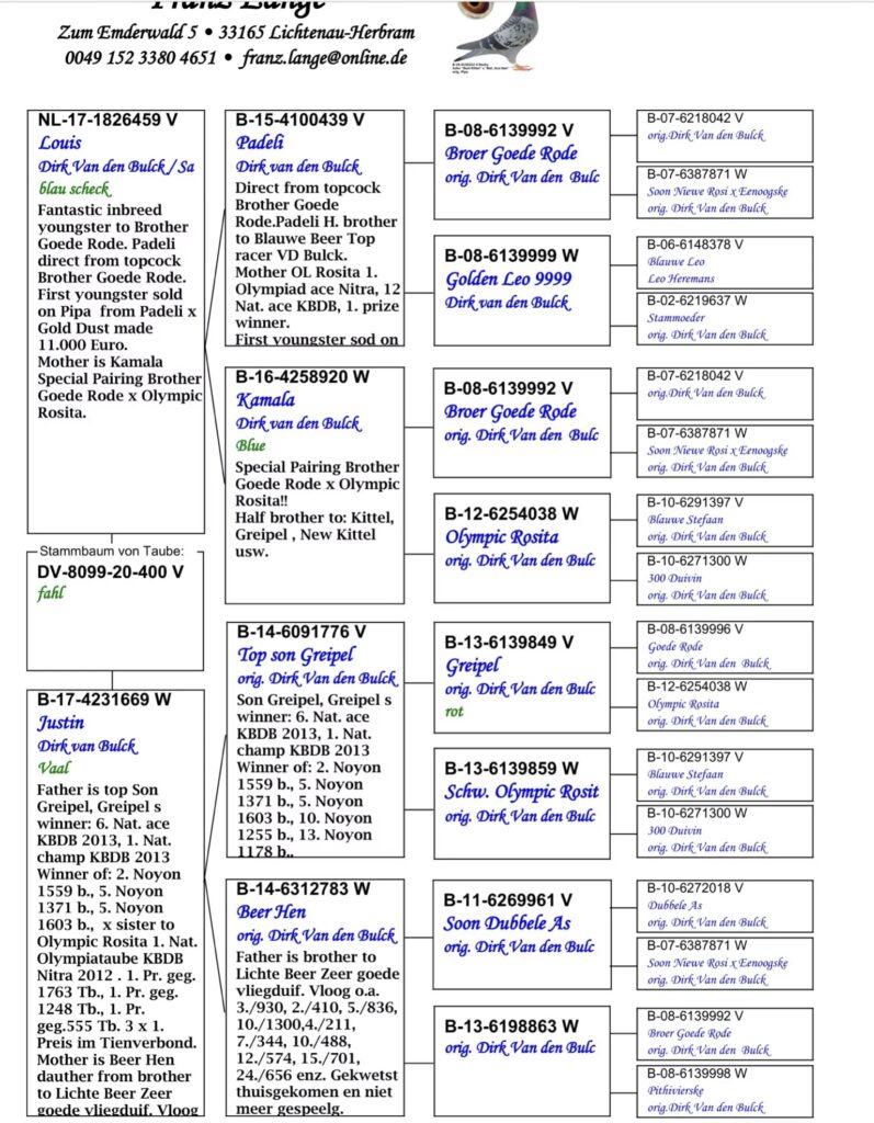 .LOT 5 MIKE ENGELBRECHT ZA 24 BULLCAT 1335 -SIRE:DV-8099-20-400.HIS ...
