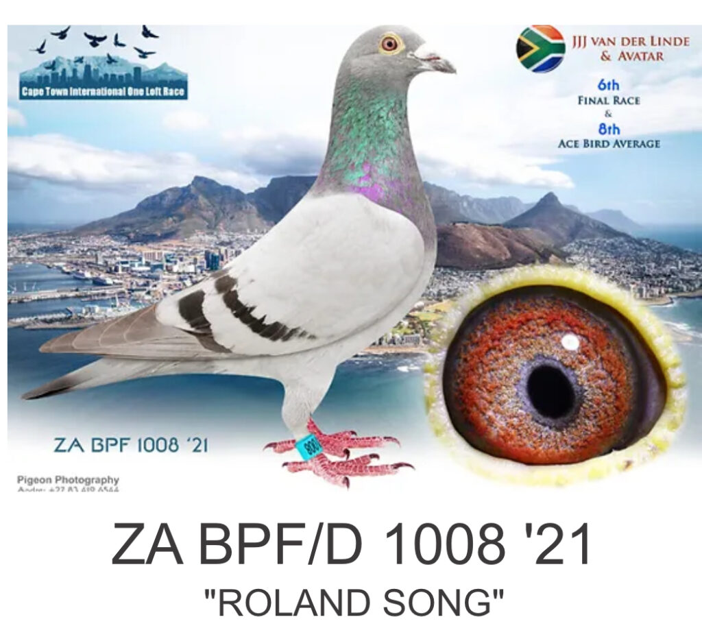 LOT 10 END AUGUST – ZA BPF 1008 ’21 -SUPER RACE CAPETOWN INT ONE LOFT ...