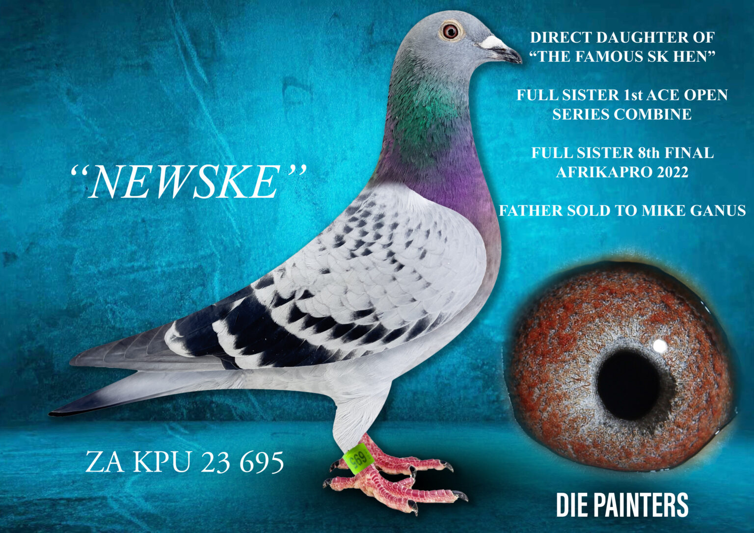 .LOT 3 DIE PAINTERS -ZA 23 KPU 695 – DIRECT DAUGHTER OF OUR FOUNDATION BREEDER “THE FAMOUS SK ...