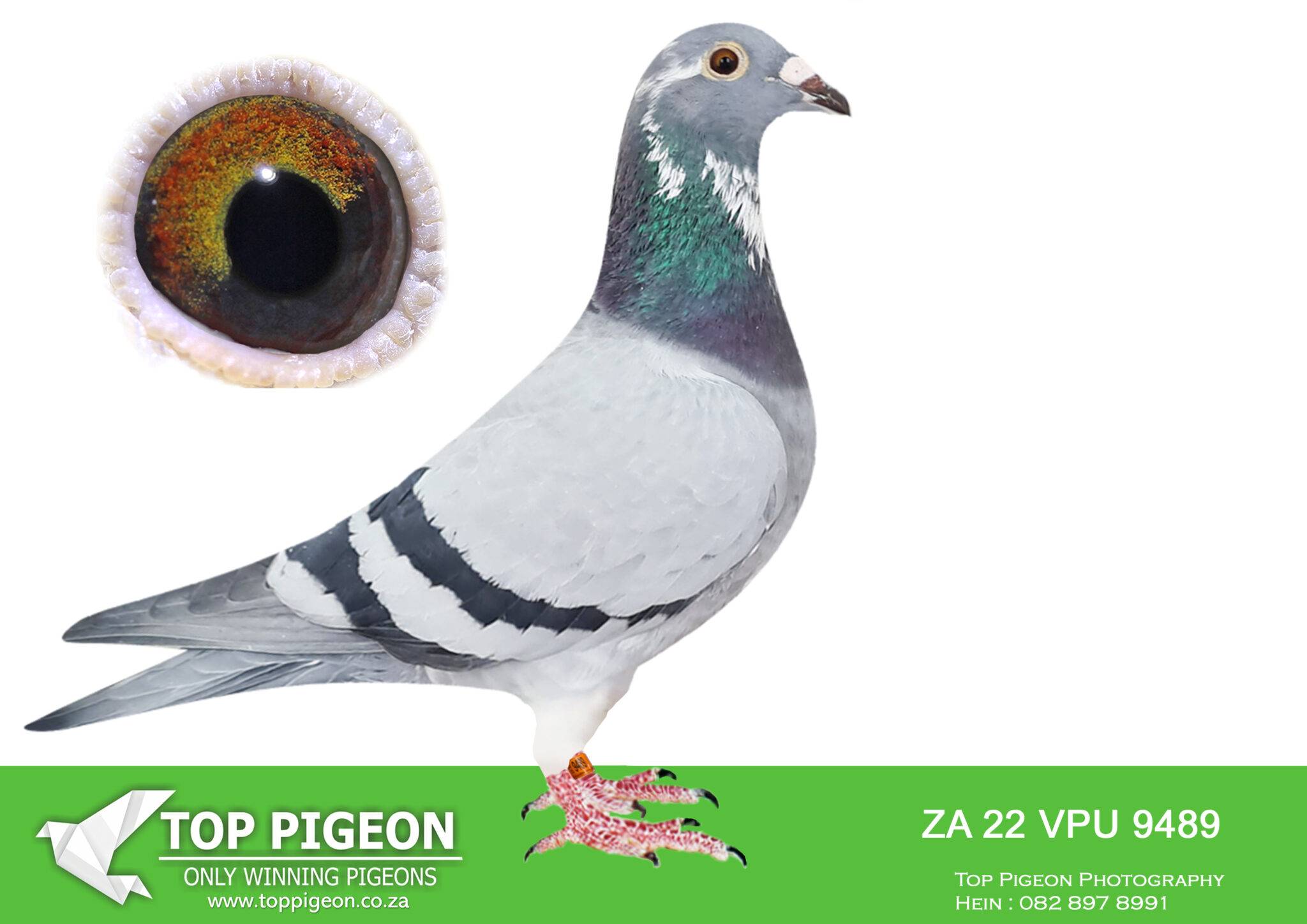 .LOT 6 EARLY MAY ZA 22 VPU 9489 -SIREZA 16 OERF 05721 “DUBBEL R80 000 ...