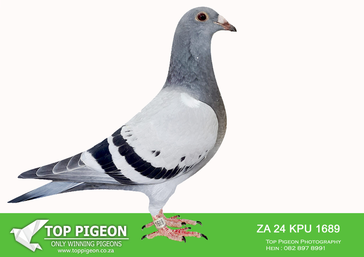 .LOT 1 BENEKE LOFTS – ZA 24 KPU 1689 – RELATED TO CAPETOWN INT OLR WINNER SOLD R73500.00 AND ...