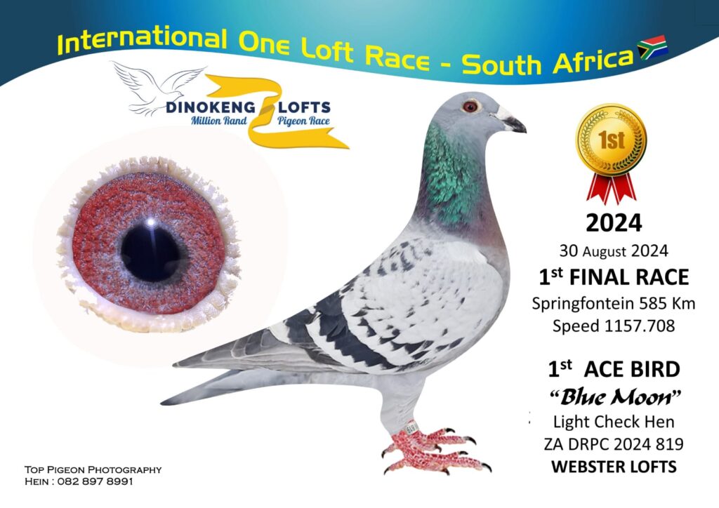 .LOT 1 DINOKENG OLR – WEBSTER LOFTS – ZA 24 DRPC 819 “BLUE MOON” – Entered into Dinokeng OLR ...