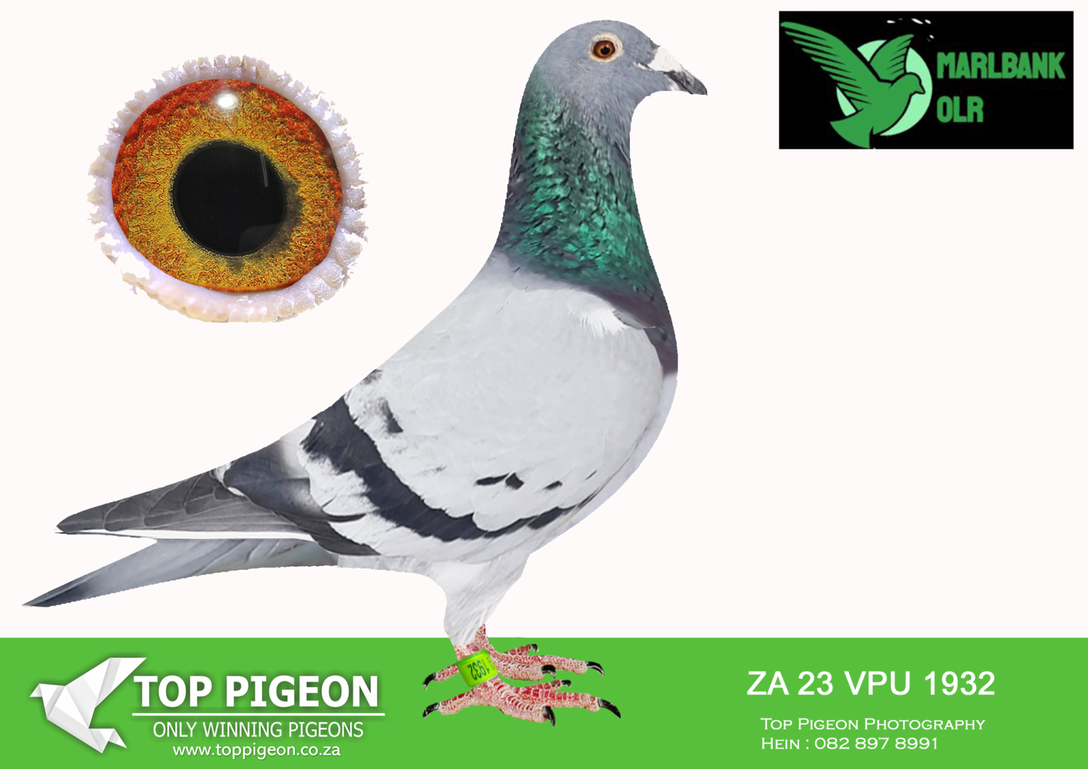 LOT 40 MARLBANK OLR -MARTIN REYNEKE – ZA 23 VPU 1932 – 2ND HOTSPOT 3 ...