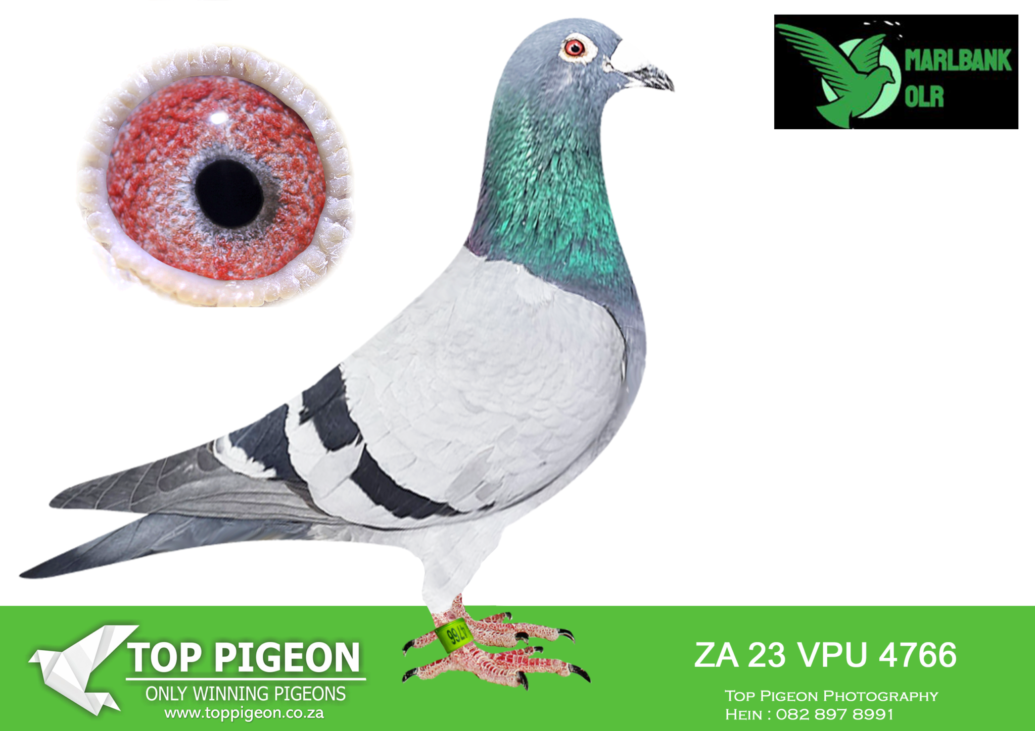 .LOT 7 MARLBANK OLR -FRIK VIVIERS – ZA 23 VPU 4766 – 6TH HOTSPOT 3