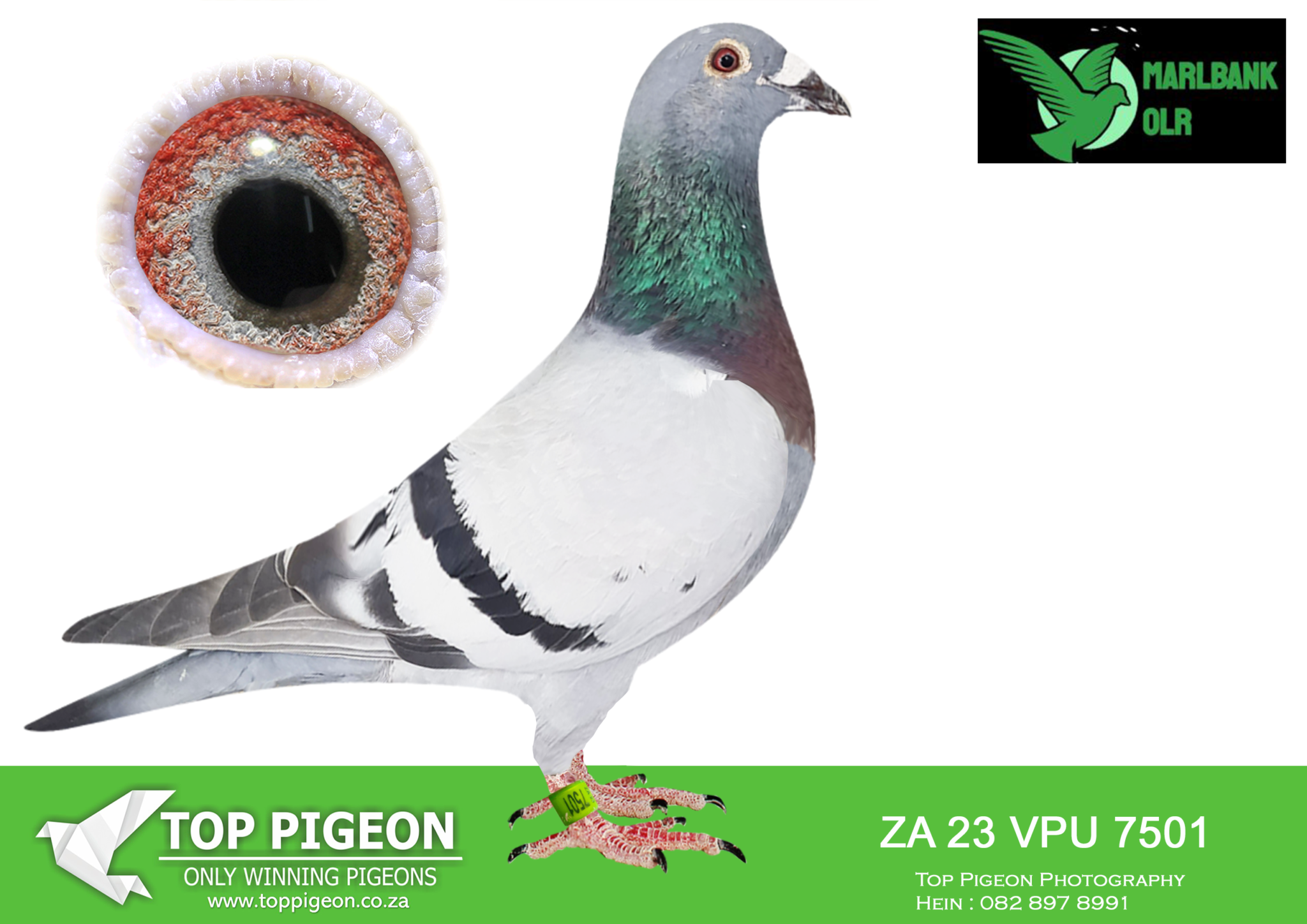 LOT 28 MARLBANK OLR -JAPIE LE GRANGE – ZA 23 VPU 7501 – 11TH FINAL