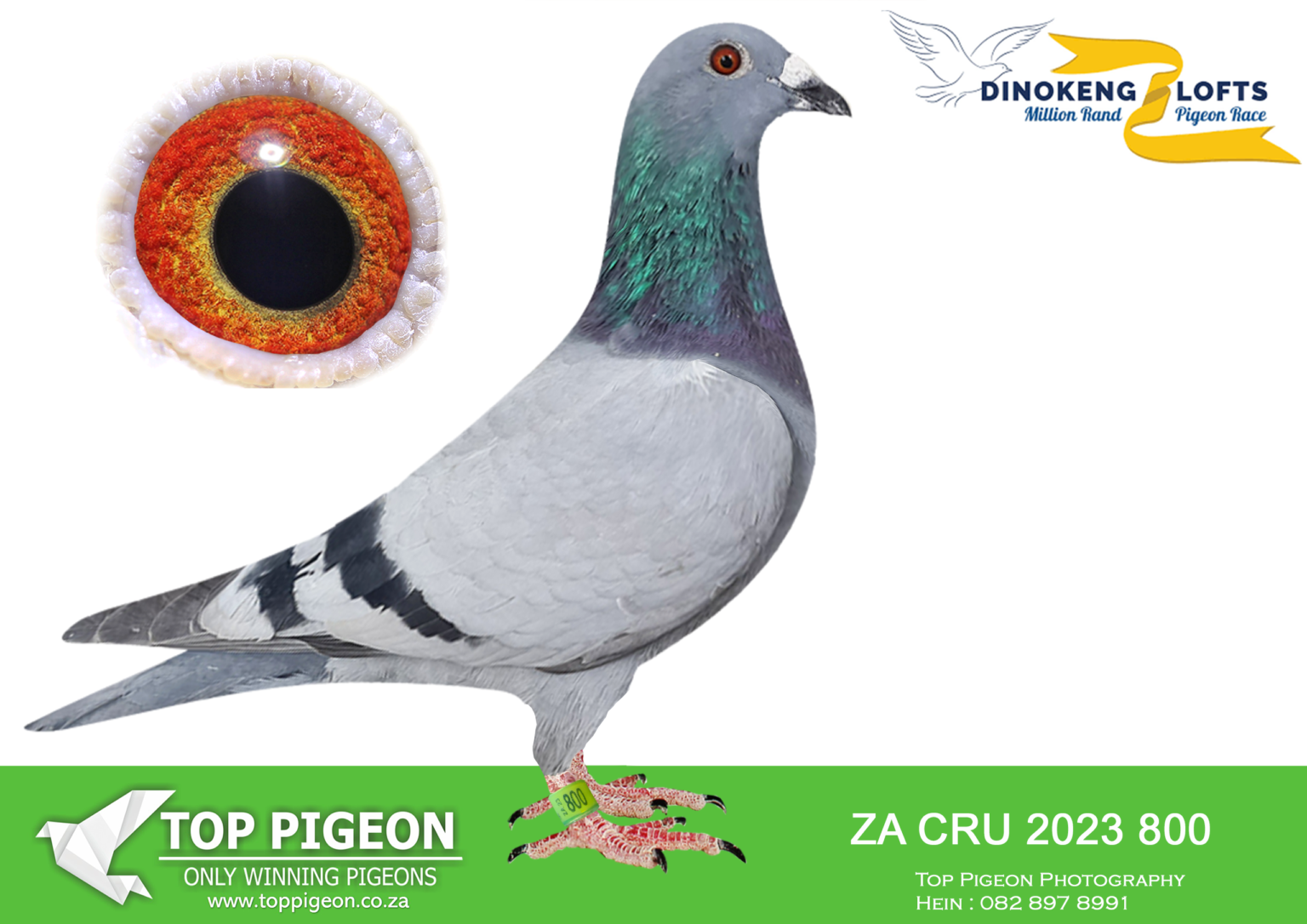 Z..LOT 101 DINOKENG OLR – TEAM FAR EAST – ZA 23 CRU 800 “JET MERLIN (Wynand Steenkamp)”-SIRE ...