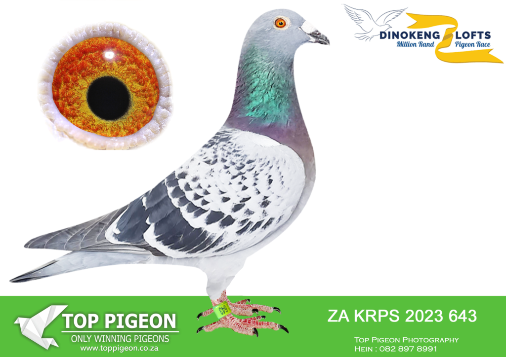 Z..LOT 119 DINOKENG OLR – SMALBERGER & SPARTAN – ZA 23 KRPS 643 “SS1 ...
