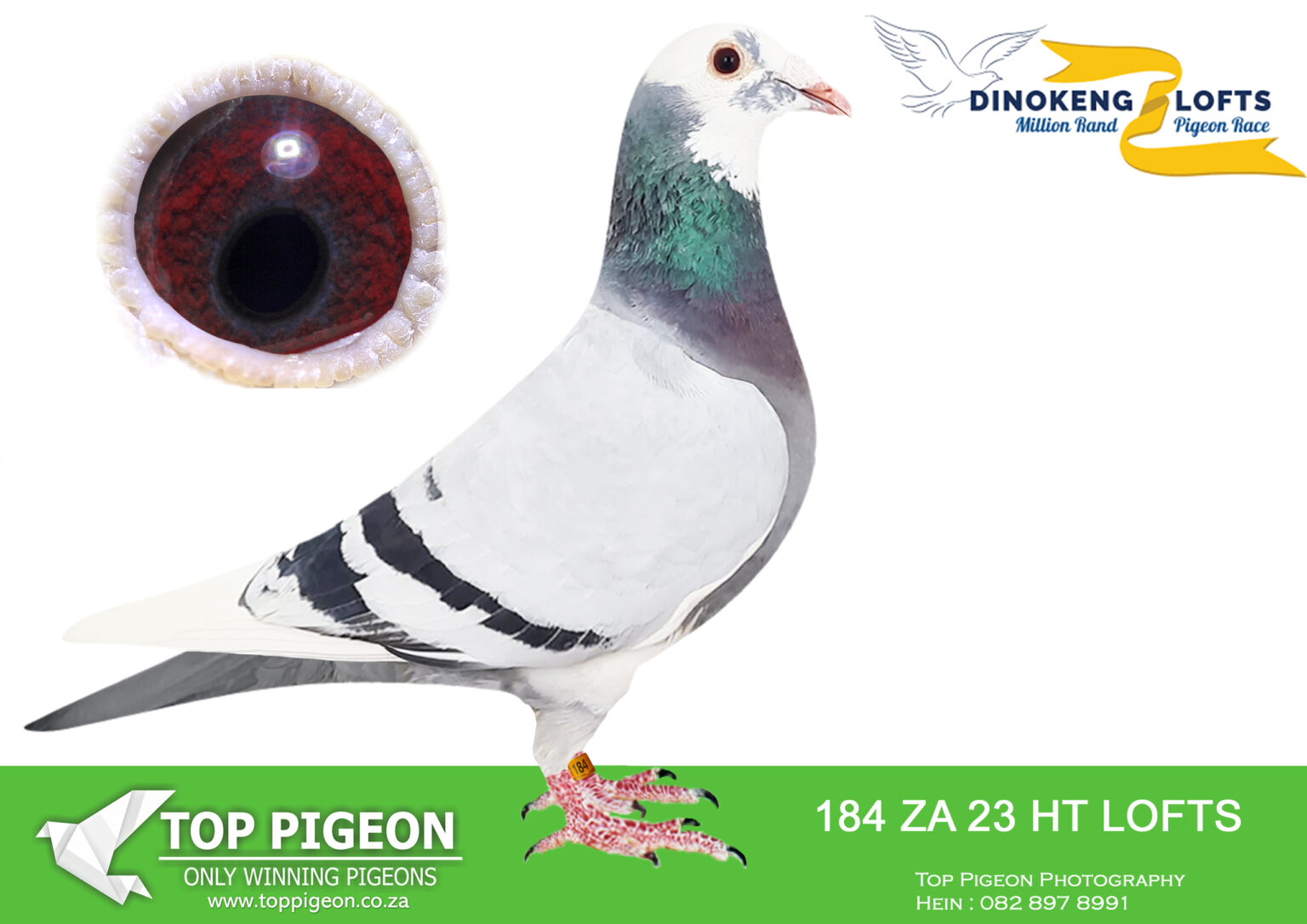 LOT 70 DINOKENG AUCTION 2 -HT LOFTS – ZA 23 HT LOFTS 184