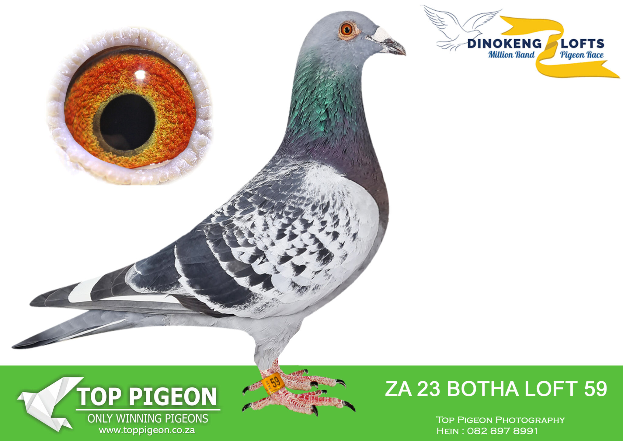 .LOT 5 DINOKENG AUCTION 2 – BOTHA LOFTS – ZA 23 BOTHA LOFT 59 ——–SAMEBRED SOLD FOR R31 000.00 ON ...