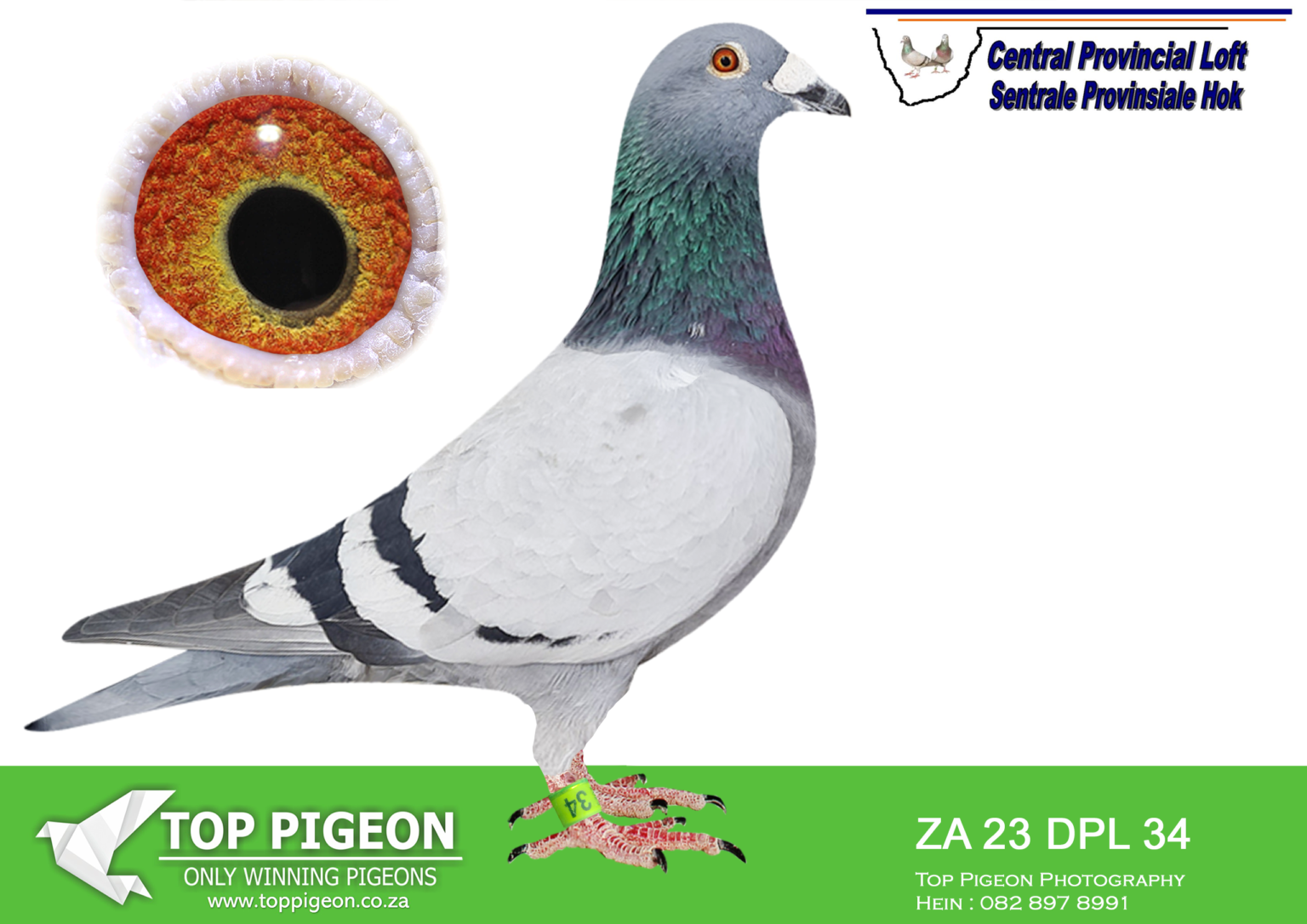 .LOT 1 CENTRAL LOFTS -DIEPLAAGTE LOFTS – ZA 23 DPL 34 – —– 1st Matjiesfontein Challenge Renault ...