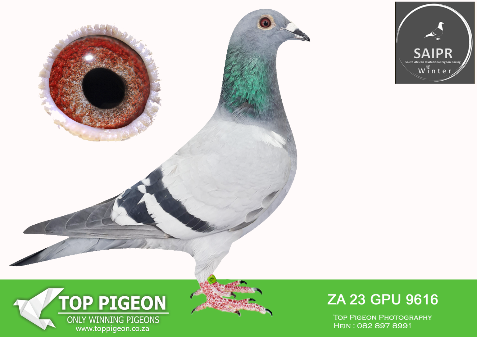 LOT 10 SAIPR OLR – TNT LOFTS1 – ZA 23 GPU 9616 -HOTSPOT 1 WINNER WINNING R50 000———SAME BRED ...