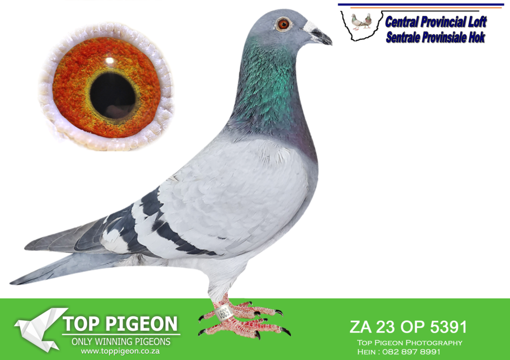 .LOT 1 CENTRAL LOFTS -DIEPLAAGTE LOFTS – ZA 23 DPL 34 – —– 1st Matjiesfontein Challenge Renault ...