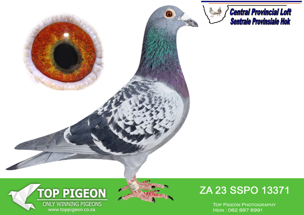 .LOT 1 CENTRAL LOFTS -DIEPLAAGTE LOFTS – ZA 23 DPL 34 – —– 1st Matjiesfontein Challenge Renault ...