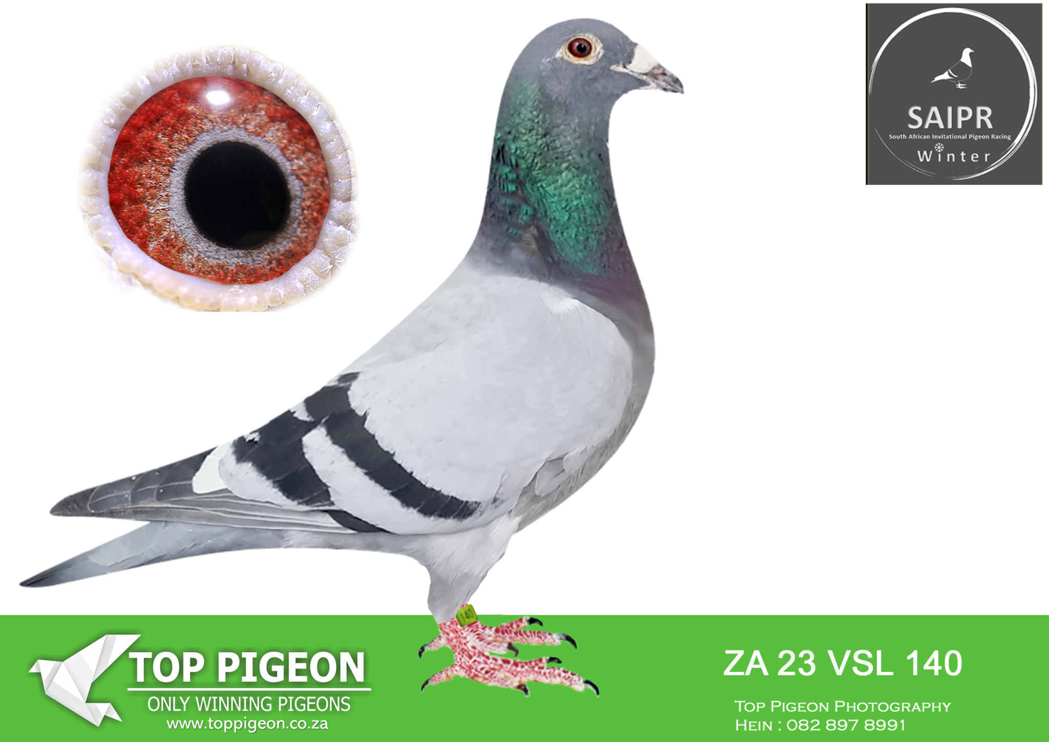 LOT 60 SAIPR OLR -CANNISTRARO 2 – ZA 23 VSL 140 – WINNER OF H/S 2 AND ...