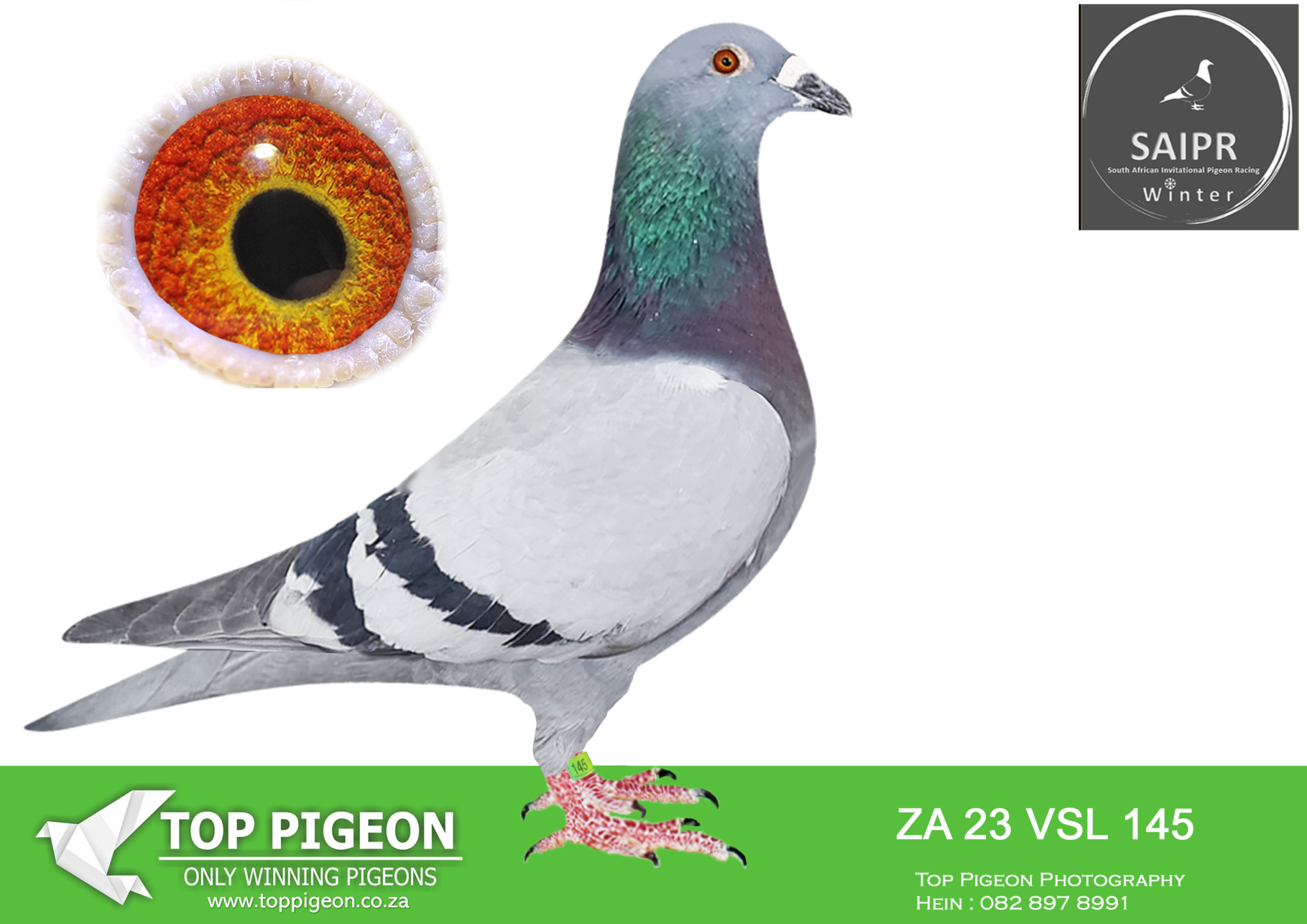 LOT 40 SAIPR OLR -VELOCITY RACERS – ZA 23 VSL 145 – 17TH IN THE FINAL ...