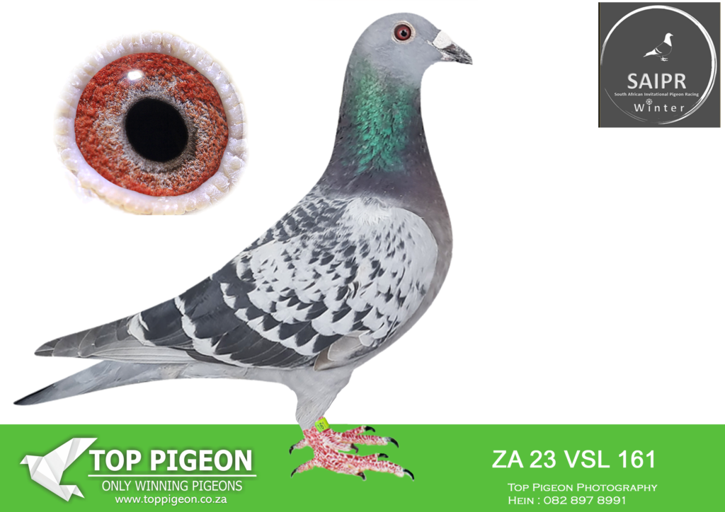 LOT 22 SAIPR OLR -VELOCITY RACERS – ZA 23 VSL 161 -10TH IN THE FINAL ...