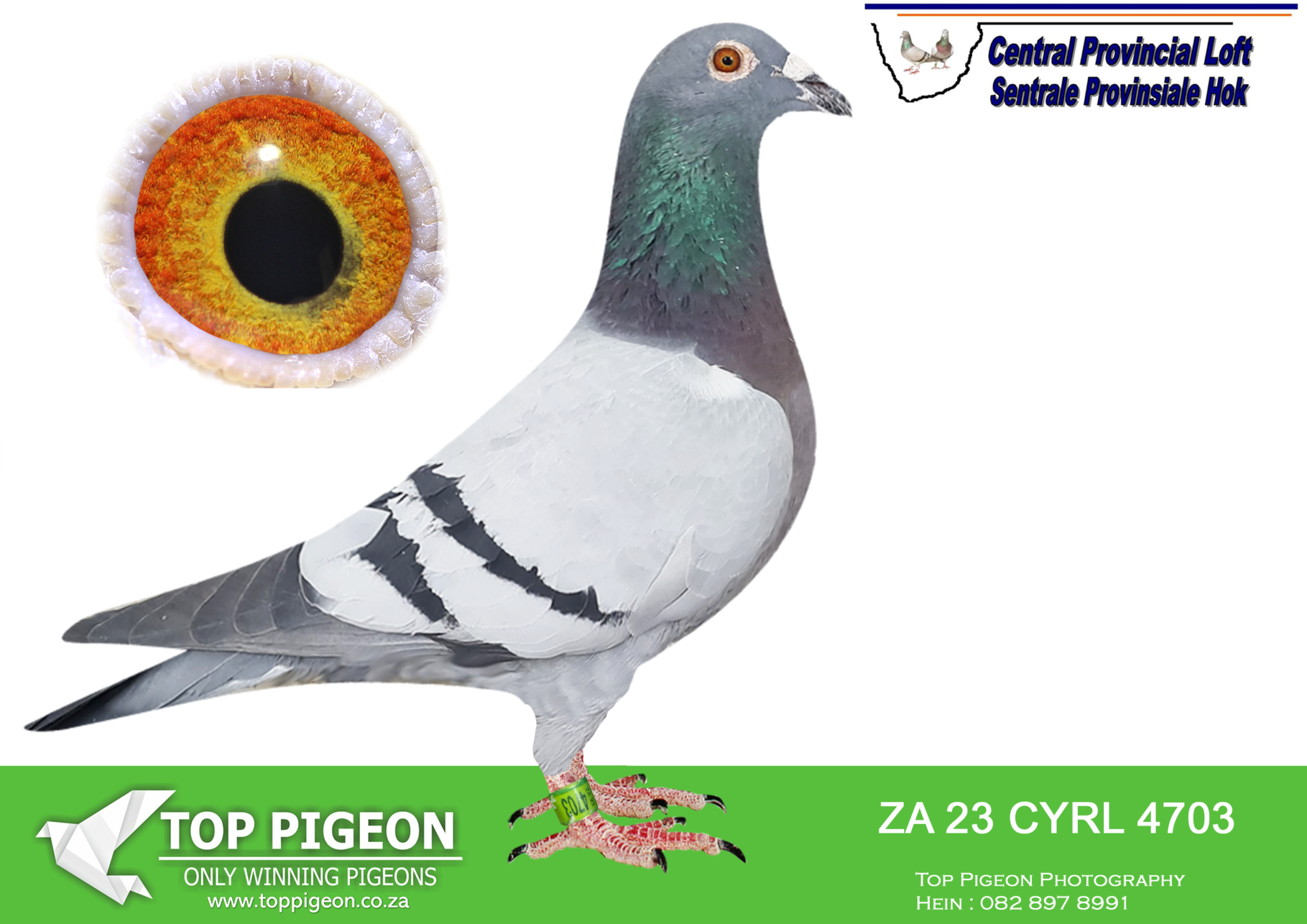 LOT 13 CENTRAL AUCTION 2 – CORRIE & MARINA PRETORIUS-CYRL 4703 2023 ...