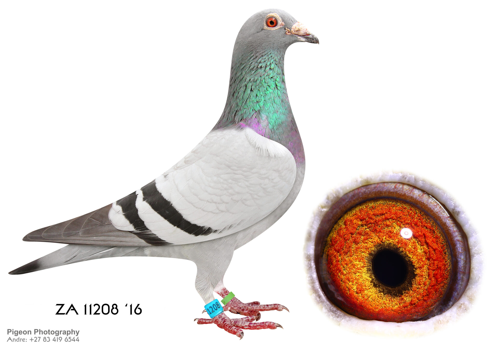 Z..LOT 195 DU PREEZ & DEETLEFS – ZA 16 SANPO 11208 HEN -WON R38000 ...