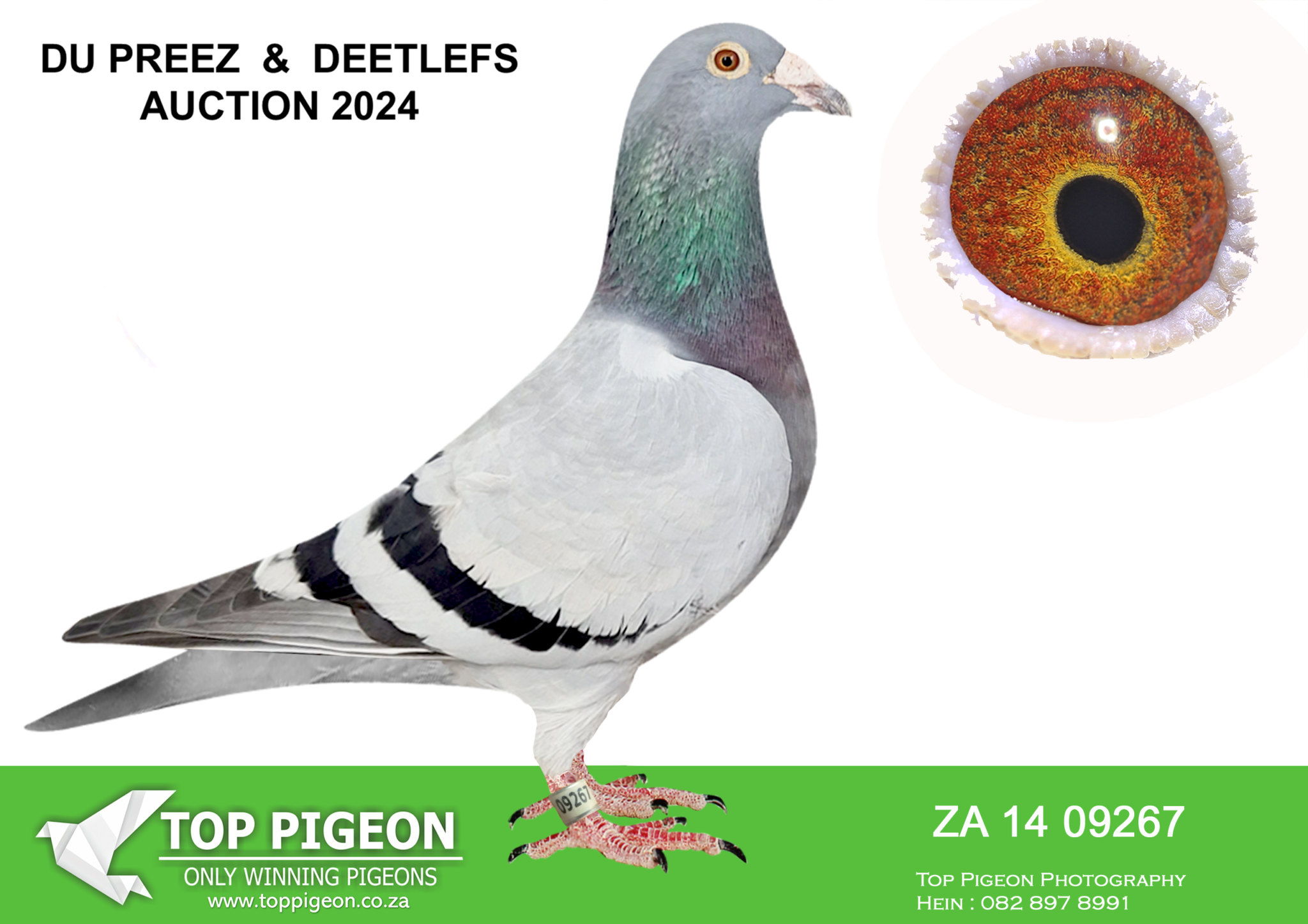 LOT 73 DU PREEZ & DEETLEFS – ZA 14 SANPO 09267 HEN-2 X COMBINE WINNER ...