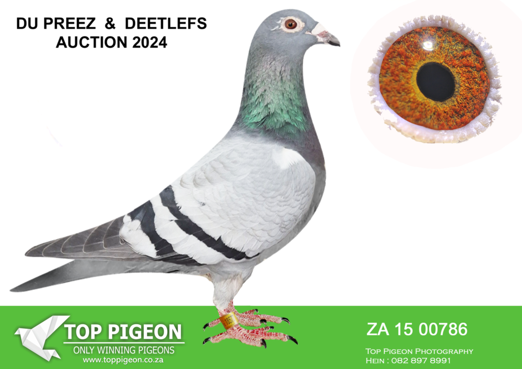 LOT 85 DU PREEZ & DEETLEFS – ZA 15 SANPO 00786 HEN -WINNER SUPER RACER ...