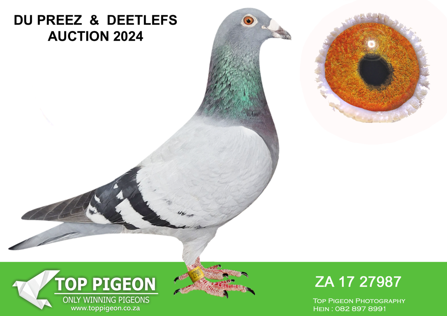 Z..LOT 191 DU PREEZ & DEETLEFS – ZA 17 SANPO 27987 HEN -WIN ...