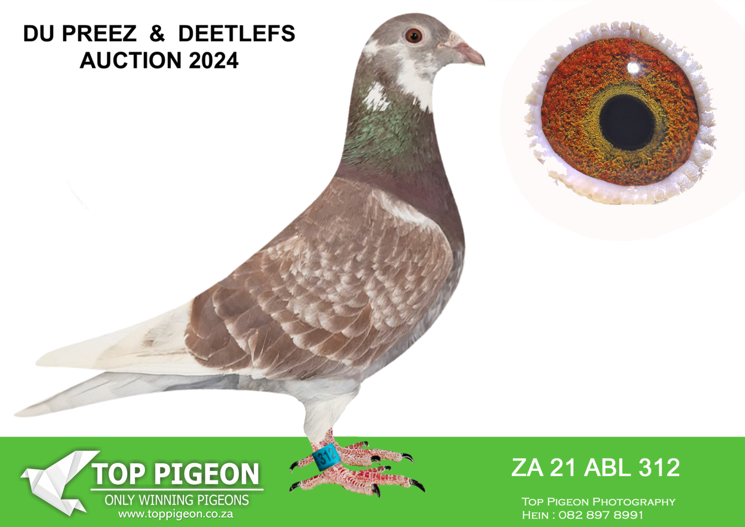 LOT 66 DU PREEZ & DEETLEFS – ZA 21 ABL 312 HEN -SIRE: 1418133 NLD 19 ...