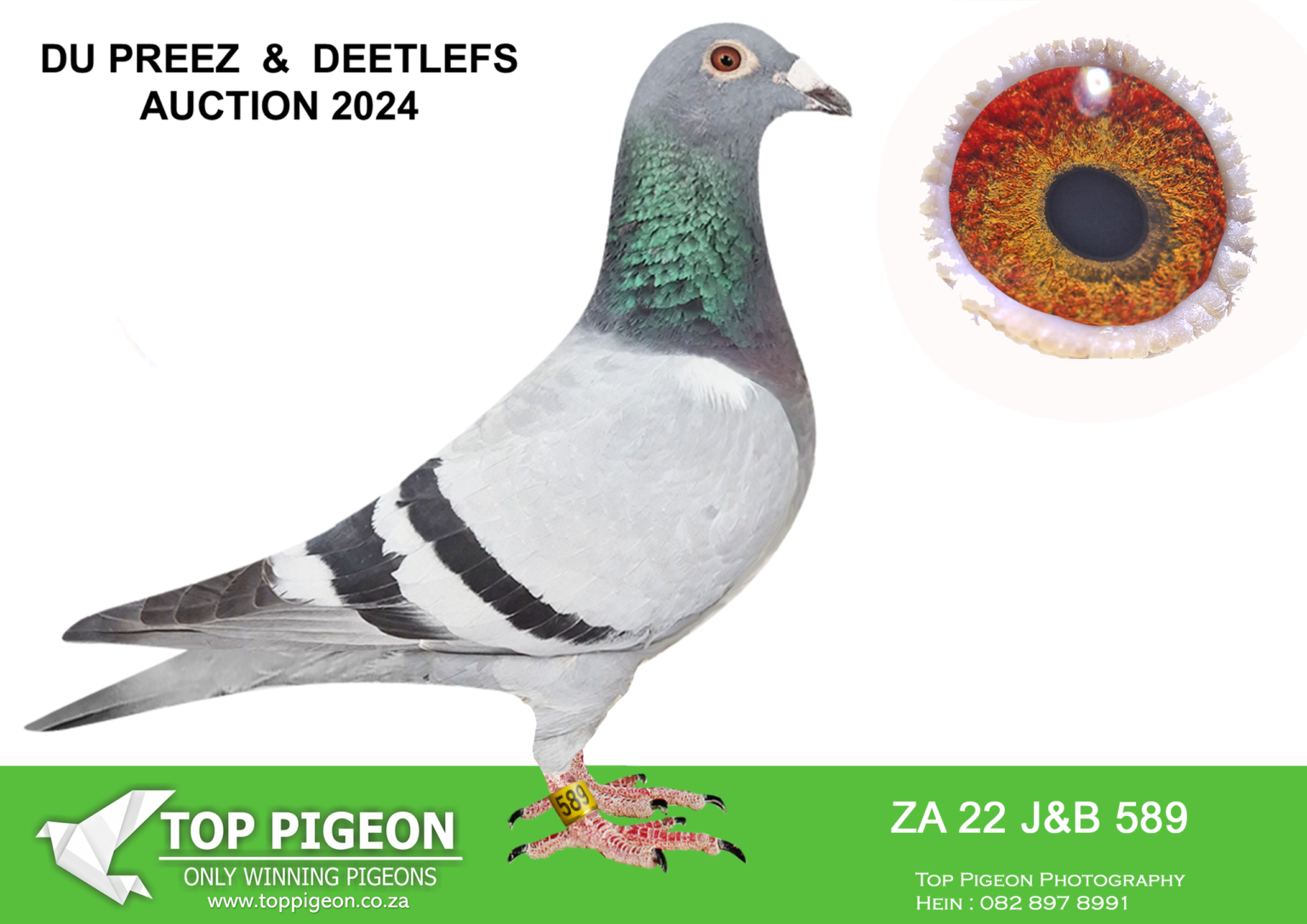 LOT 41 DU PREEZ & DEETLEFS – ZA 22 J&B 589 HEN-SCORED 2X CLUB 2023 ...