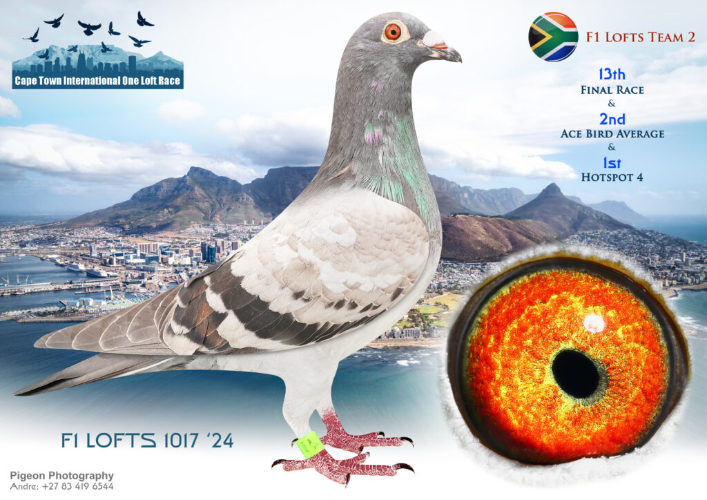 LOT 13 CAPETOWN -F1 LOFTS – ZA 24 F1 LOFTS 1017 -13TH FINAL , 2ND ACE BIRD , HOTSPOT 4 WINNER ...