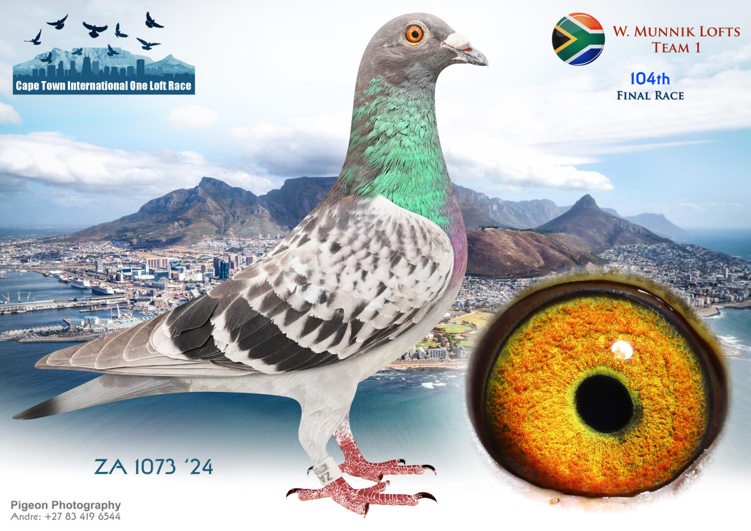 LOT 21 R500 BARGAIN BOX – WILLIE MUNNIK – ZA 24 1073 -SIRE:SRPV 22 ZA 348 .Strain: VAN LOON ...