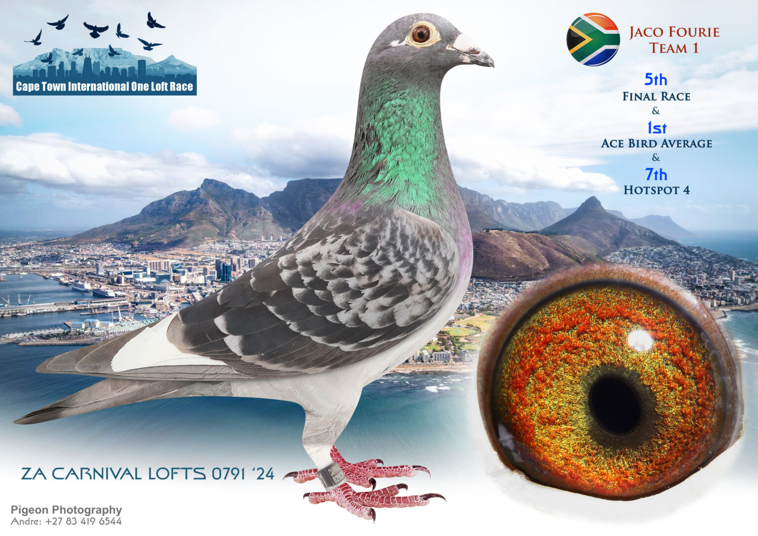 .LOT 5 CAPETOWN -JACO FOURIE – ZA 24 CARNIVAL LOFT 0791 -5TH FINAL , 1ST ACE PIGEON , 7TH HOTSPT ...