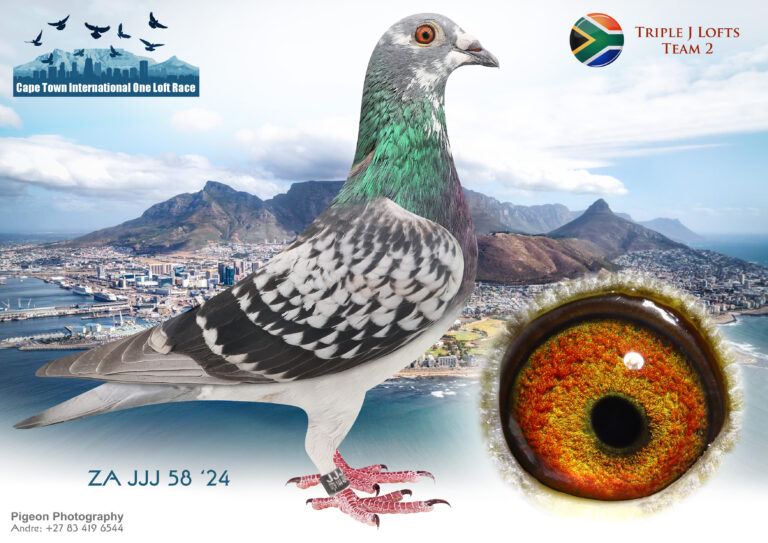 Z..LOT 119 CAPETOWN -TRIPLE J LOFTS – ZA 24 JJJ 58 -~ Jansik is Half-sister JAGAMATA – 1st 2024 ...