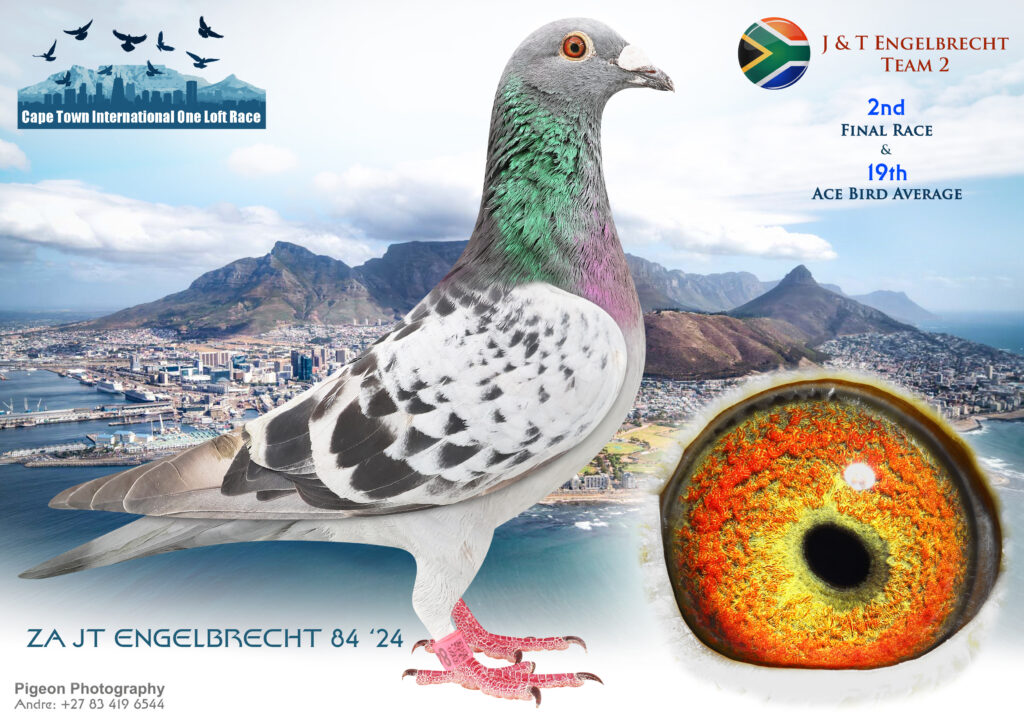 .LOT 2 CAPETOWN -J & T ENGELBRECHT – ZA 24 JT ENGELBRECHT 84 -2ND FINAL ...