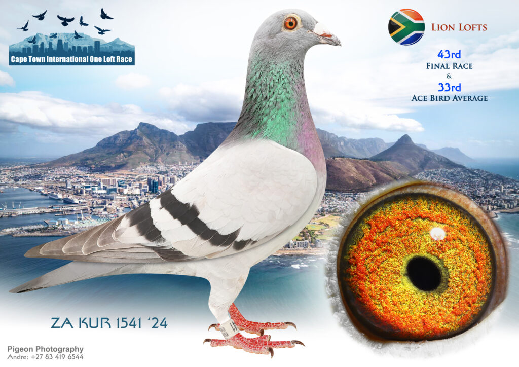 .LOT 4 R500 BARGAIN BOX -LION LOFTS – ZA 24 KUR 1541