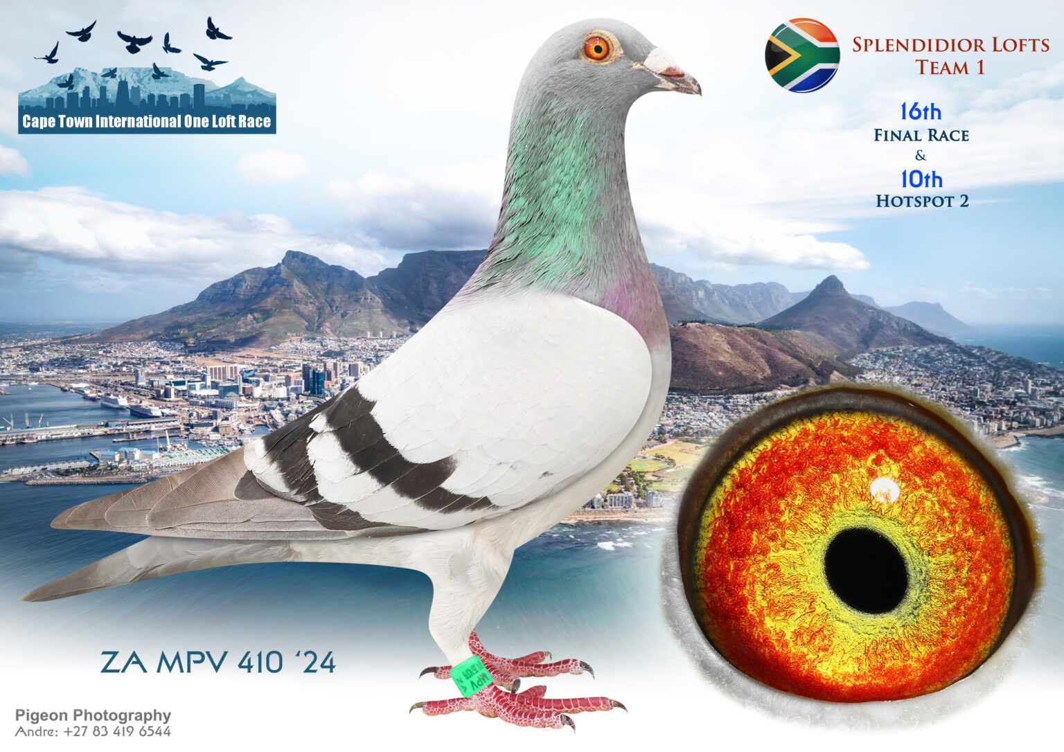 LOT 16 CAPETOWN -SPLENDIDIOR LOFTS -ZA 24 MPV 410 -17TH FINAL———-SIRE:5229 CYRL 22. LUKE DONALD ...