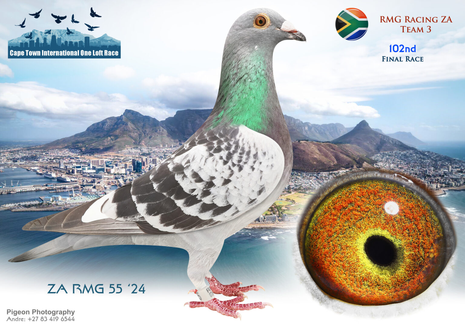 Z..LOT 103 CAPETOWN – RMG RACING – ZA 24 RMG 55 -SIRE:2023 DEN 250 19.DIRK VAN DEN BULK FIRST ...