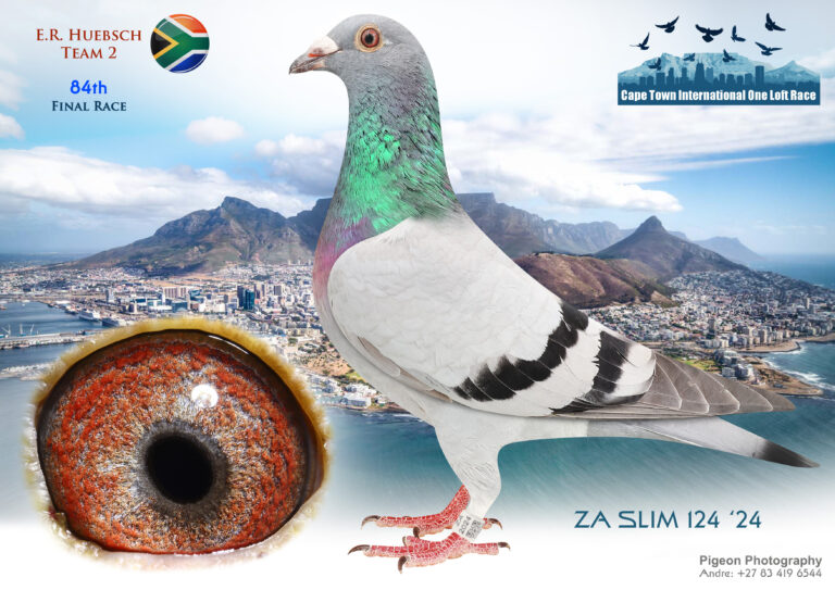 LOT 12 R500 BARGAIN BOX -RONNIE HUEBSCH – ZA 24 SLIM 124