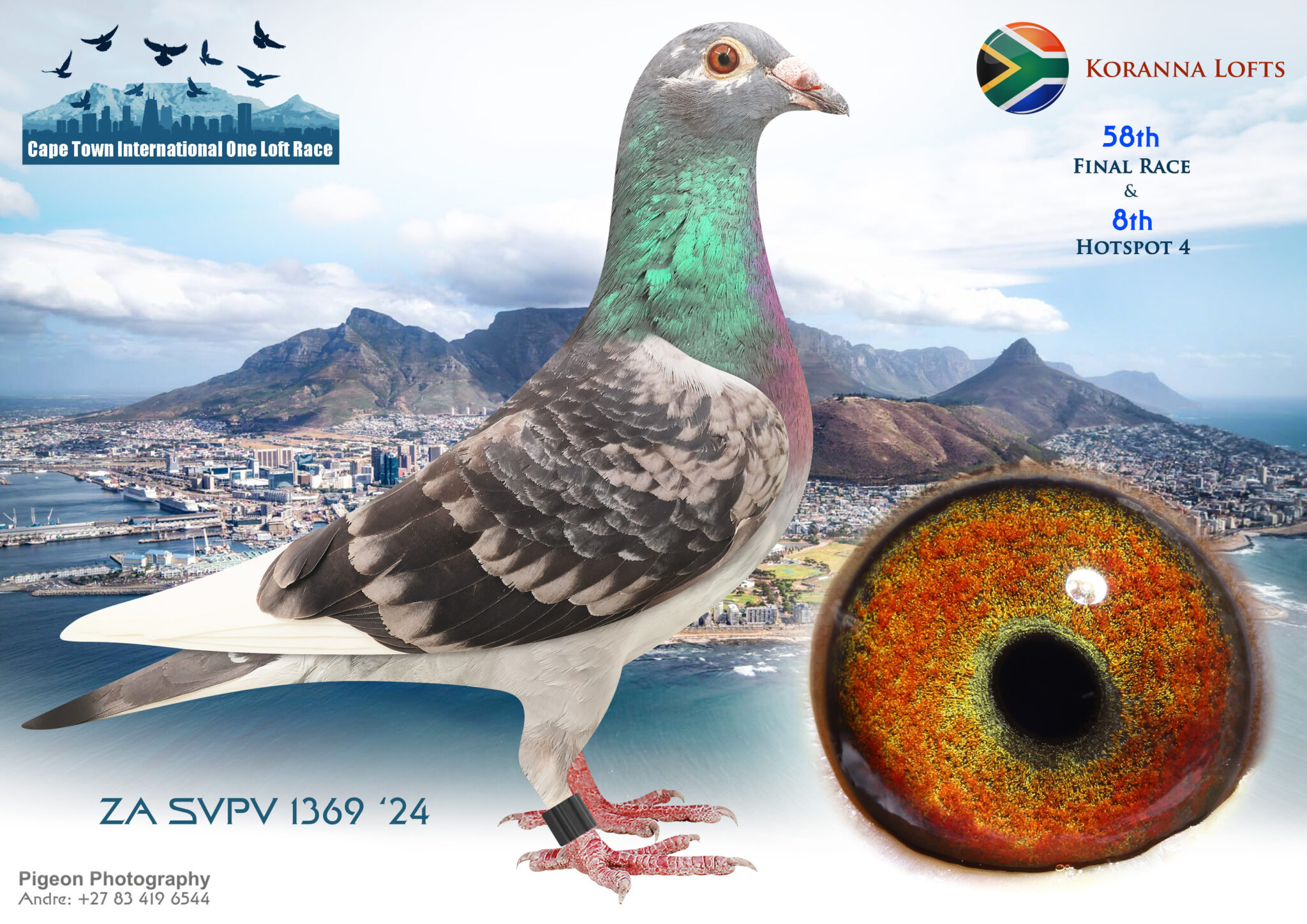 LOT 59 CAPETOWN -KORANNA LOFTS – ZA 24 SVPV 1369 -SIRE:697 ABL 22 .ALWYN BESTER KITTEL. FULL ...