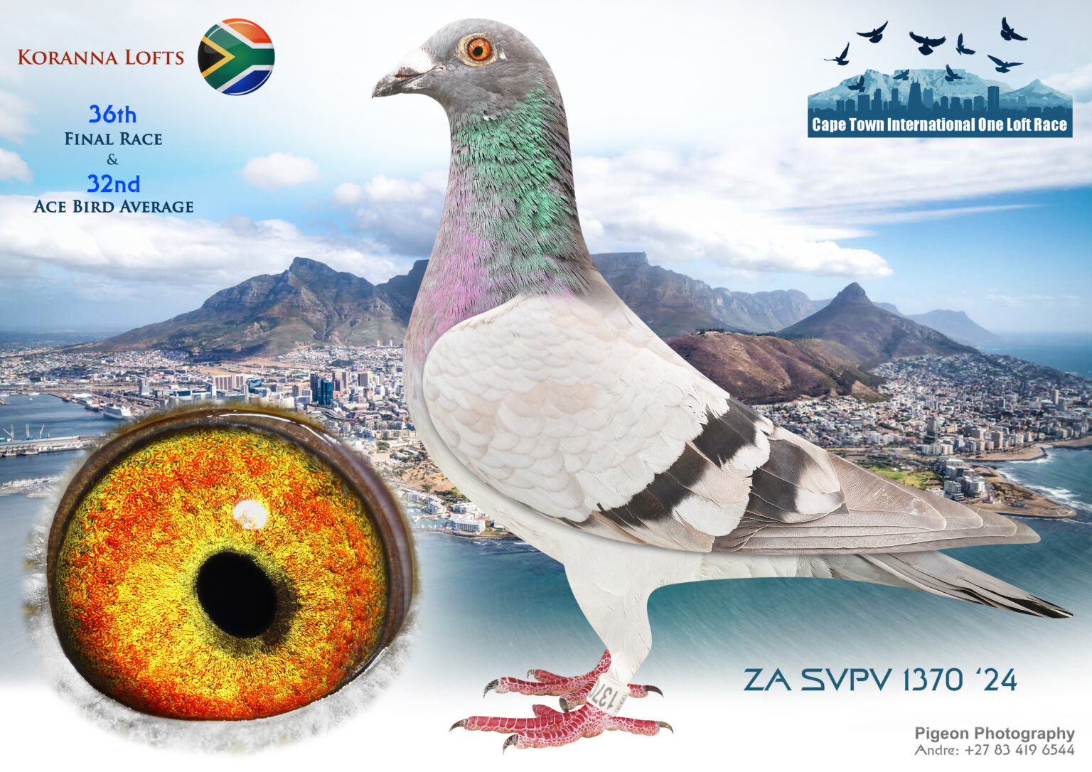 .LOT 2 R500 BARGAIN BOX -KORANNA LOFTS – ZA 24 SVPV 1370 -SIRE:0000 ZA 15 . PUTTERIE. ALLREADY ...