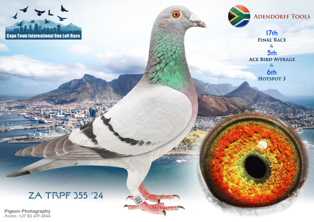 LOT 17 CAPETOWN -ADENDORFF TOOLS – ZA 24 TRPF 355 -17TH FINAL , 5TH ACE BIRD , 6TH HOTSPOT 3 ...