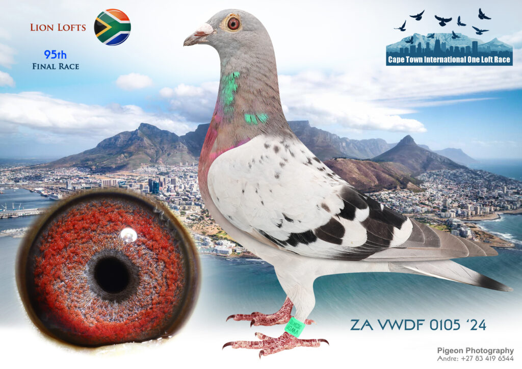 LOT 16 R500 BARGAIN BOX -LION LOFTS – ZA 24 VWDF 0105