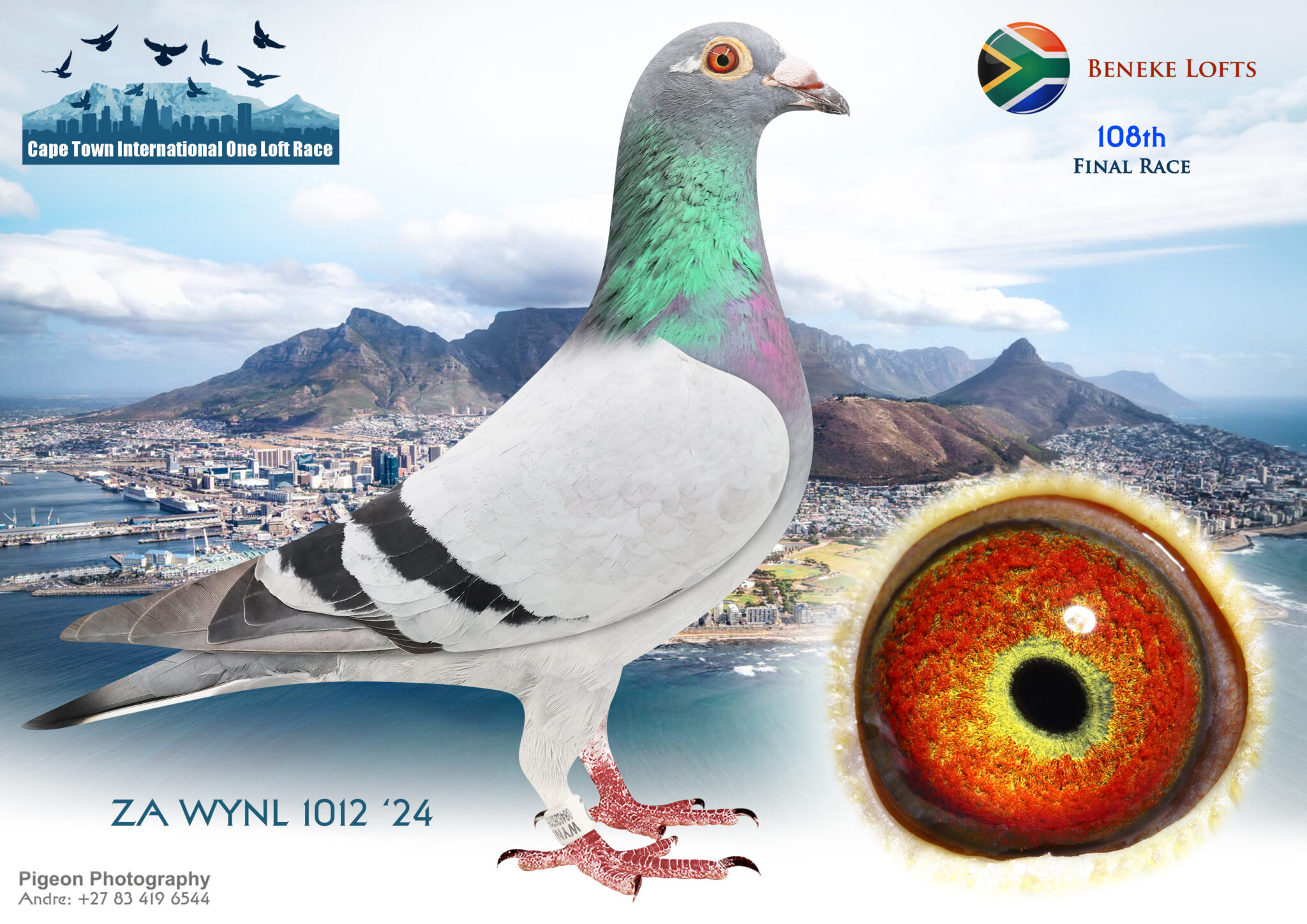 Z..LOT 108 CAPETOWN – BENEKE LOFTS – ZA 24 WYNL 1012 -SIRE:4370 ZA VPU 20.Webster Bred by Out of ...