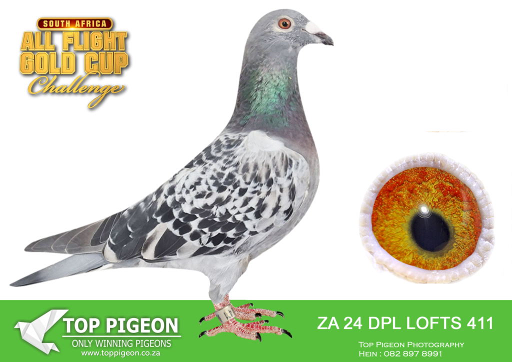 LOT 57 CARNIVAL SUMMER AUCTION 2 – Sterkfontein/Dieplaagte-ZA DPL LOFTS 24 411 –11TH ACE BIRD ...