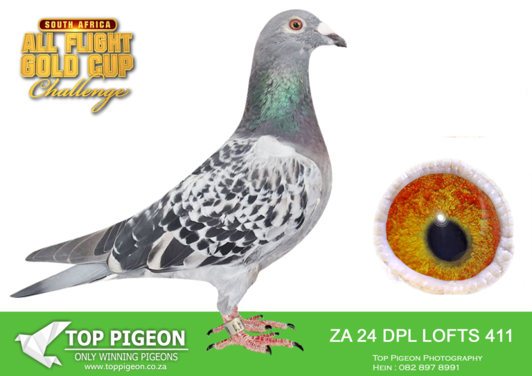 LOT 57 CARNIVAL SUMMER AUCTION 2 – Sterkfontein/Dieplaagte-ZA DPL LOFTS 24 411 –11TH ACE BIRD ...